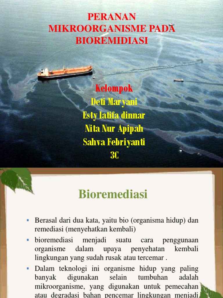 TUgas Presentasi Bioremidiasi Kelas 3AC | PDF