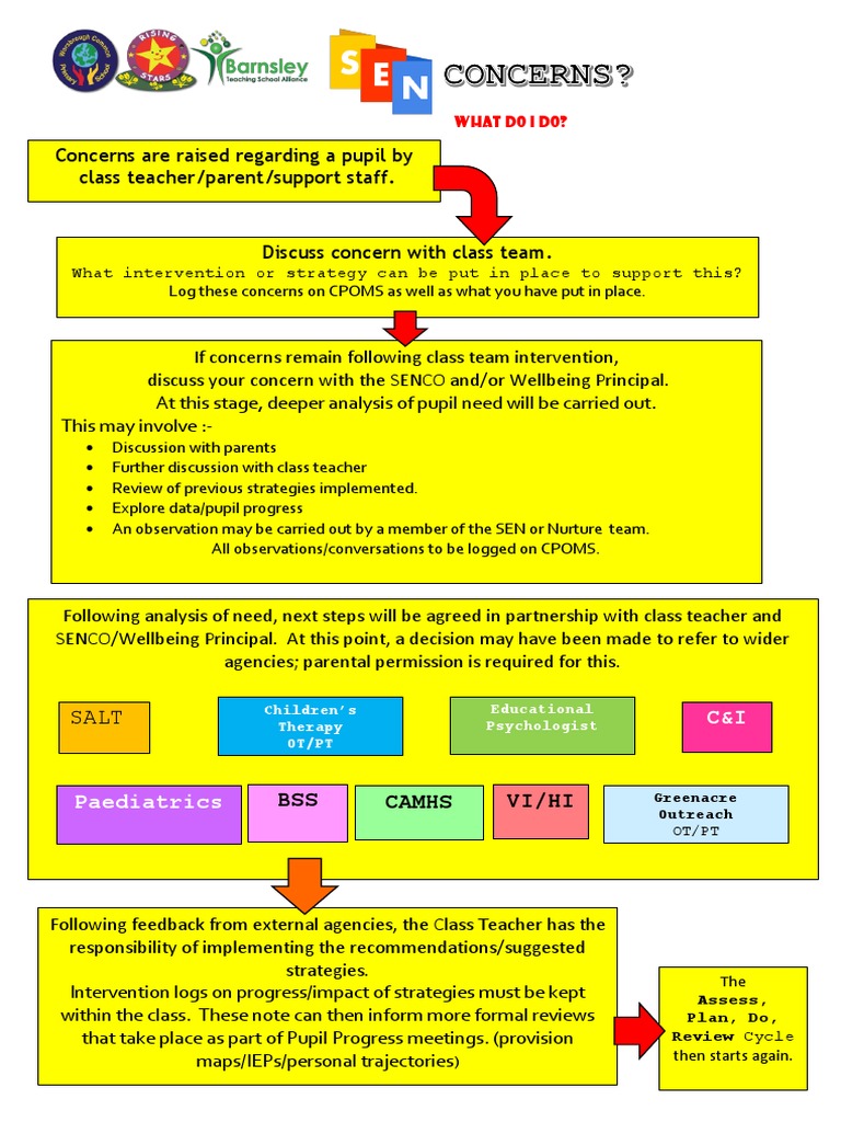 SEN Flowchart | PDF