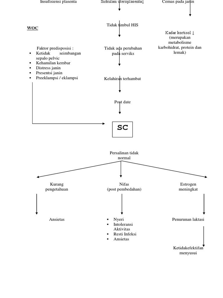 Pathway Pdf