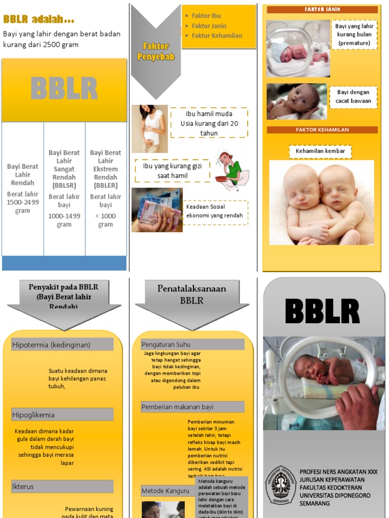 Leaflet Penyuluhan BBLR | PDF