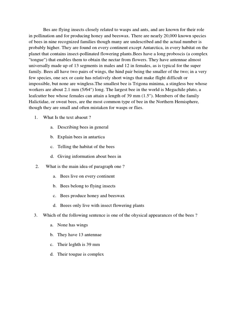 Overview of Bee Characteristics | PDF | Bees | Apocrita