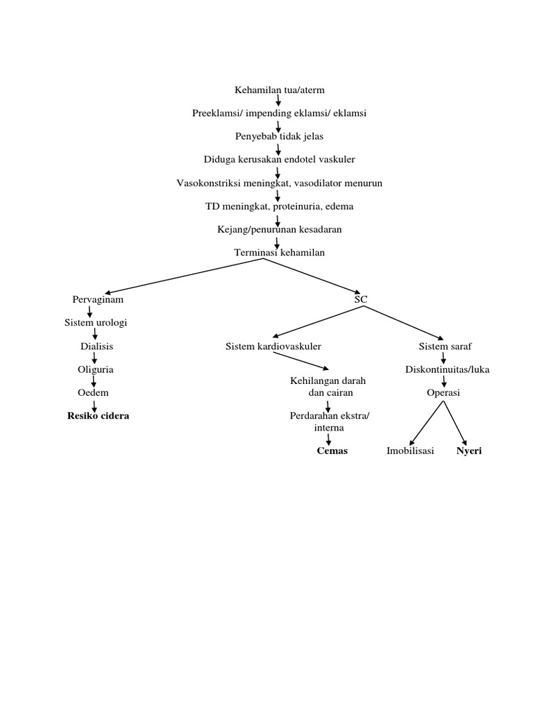 Pathway Eklampsia | PDF