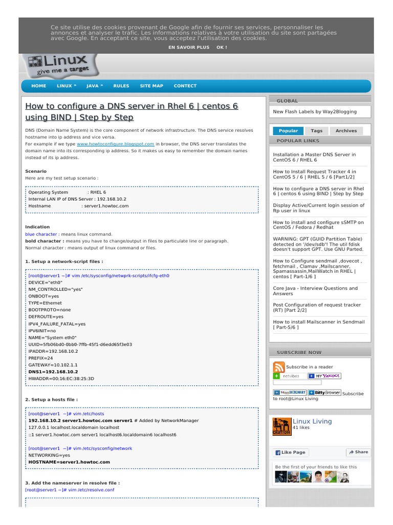 Configure a DNS server in RHEL 6 using BIND step-by-step | PDF | Domain Name System | Http Cookie