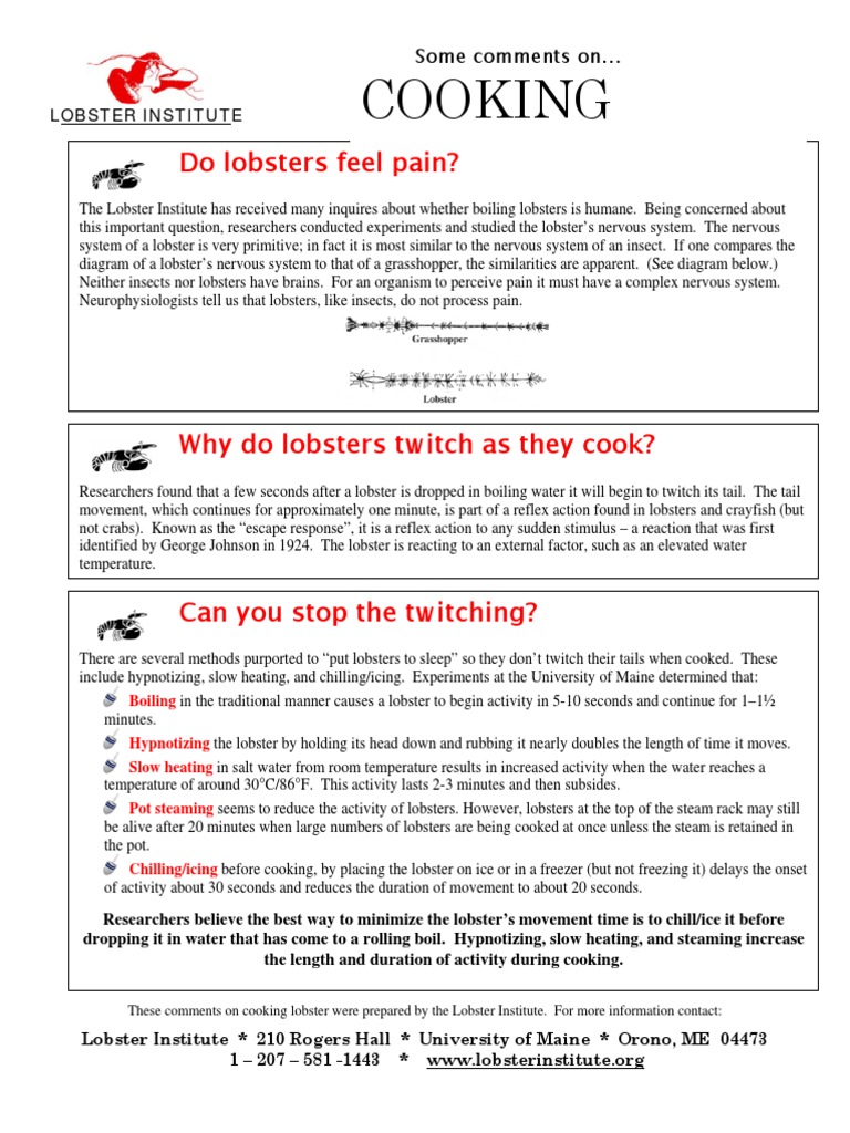 Lobster PDF | Download Free PDF | Lobster | Boiling