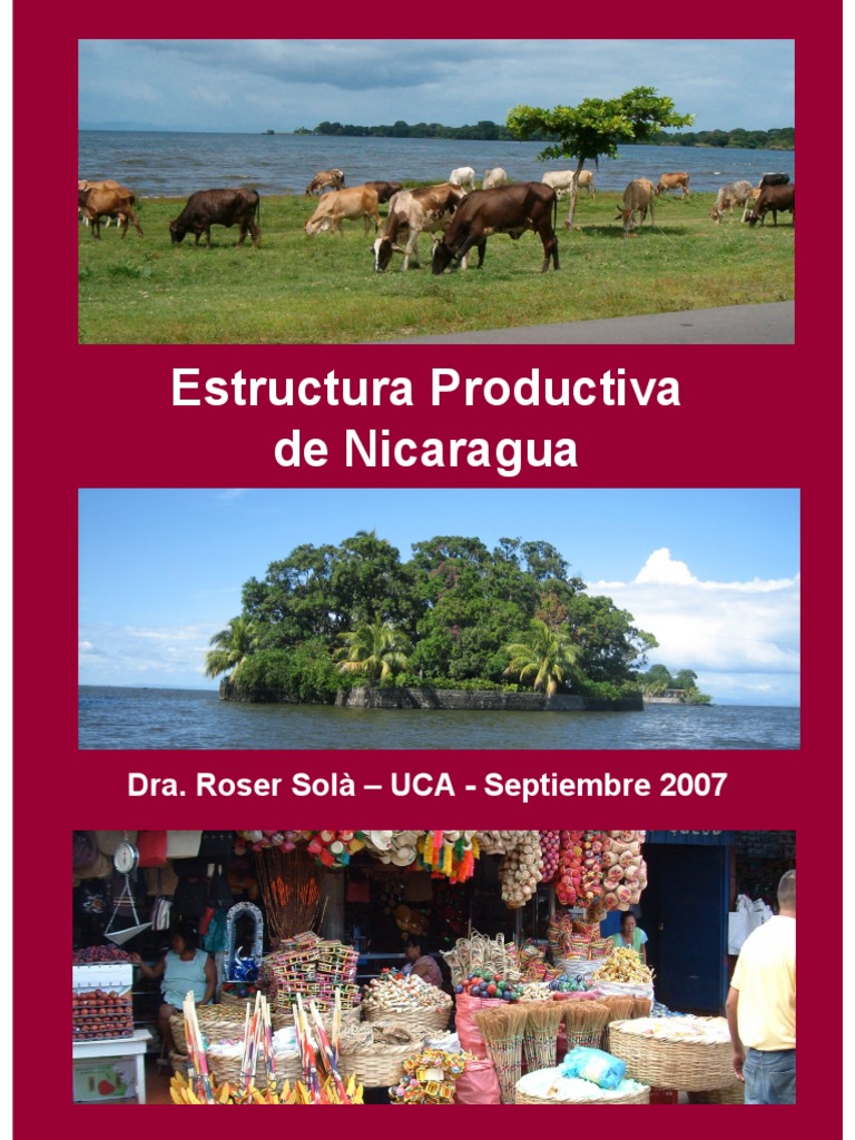 Estructura Productiva de Nicaragua Dra Solá, UCA - PDF' | PDF | Minería | Nicaragua