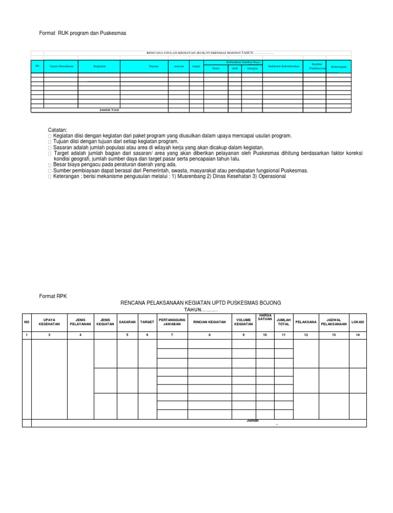 Format RUK Program Dan Puskesmas | PDF
