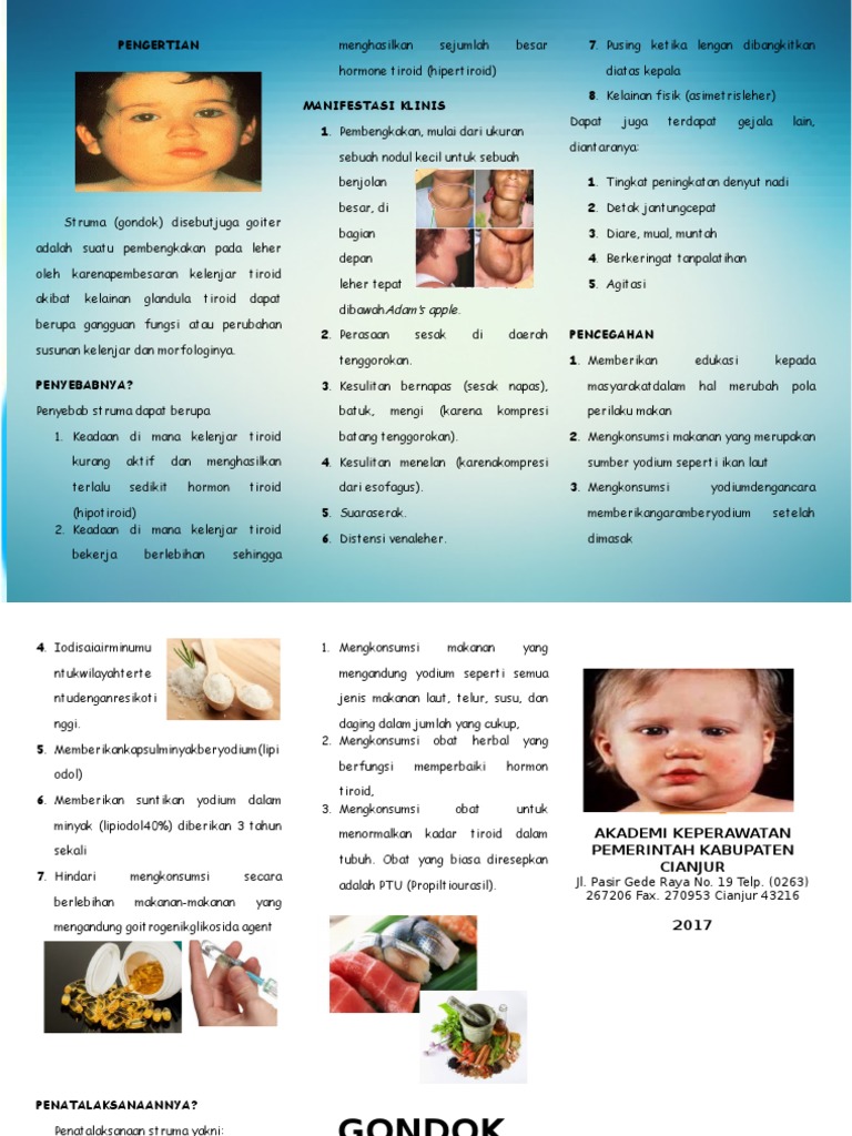 Leaflet STRUMA | PDF