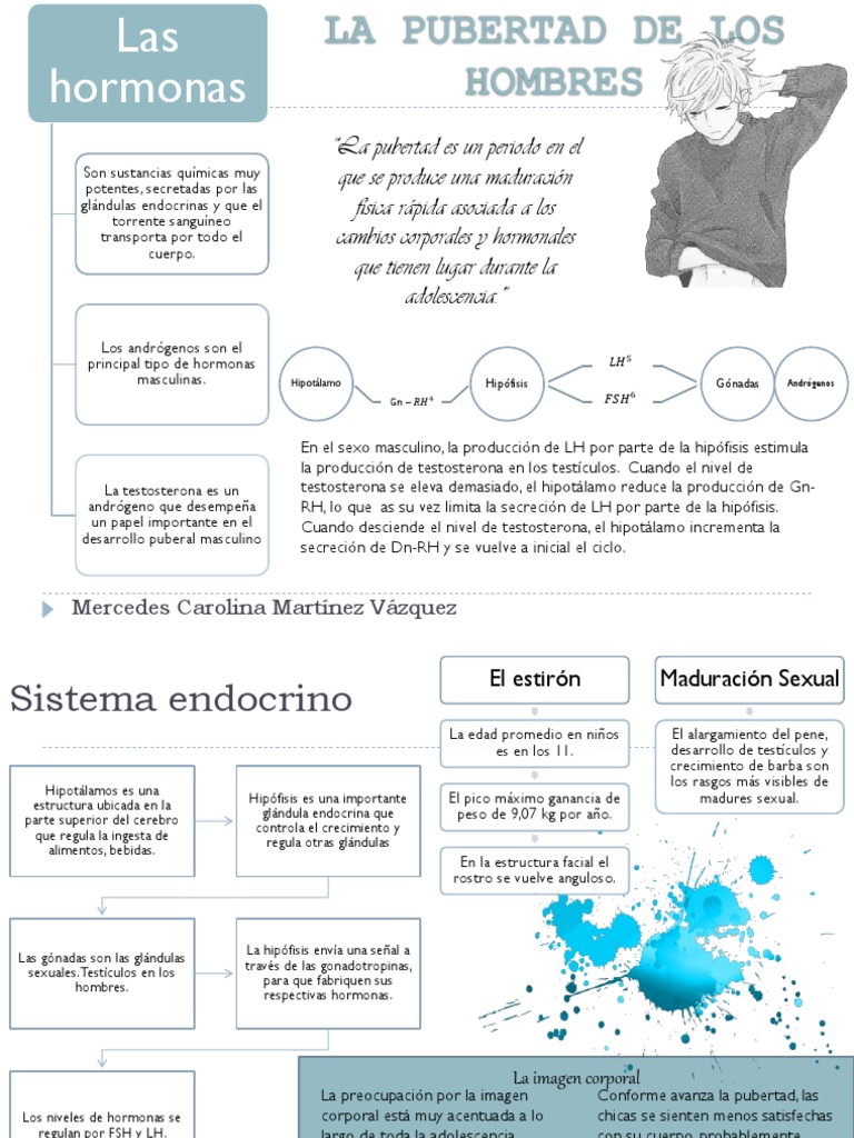 “La pubertad es un periodo en el que se produce una maduración física ...
