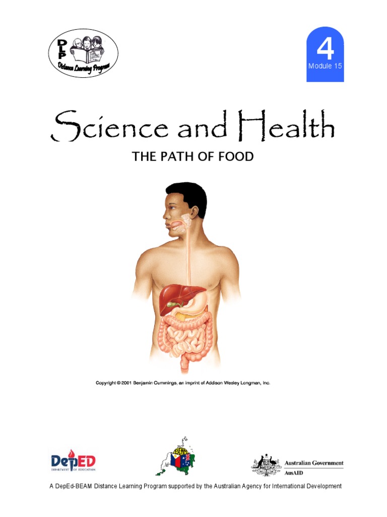 Pathway of Food in the Digestive System | PDF | Human Digestive System ...