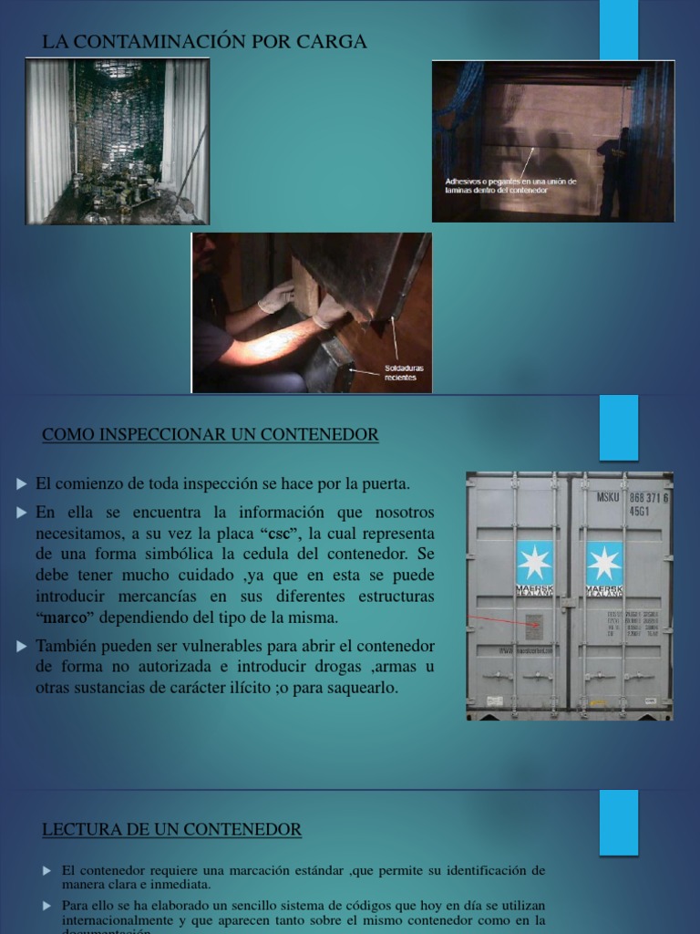 Inspección de Contenedores: Guía Práctica | PDF