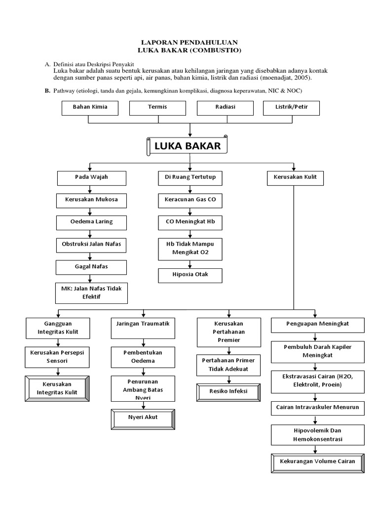 Pathway Combustio | PDF