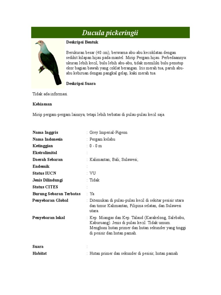 Ducula Pickeringii | PDF