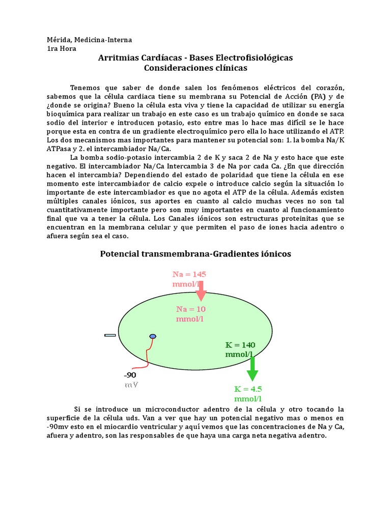 Arritmias Cardíacas: Bases y Mecanismos | PDF | Cardiología ...