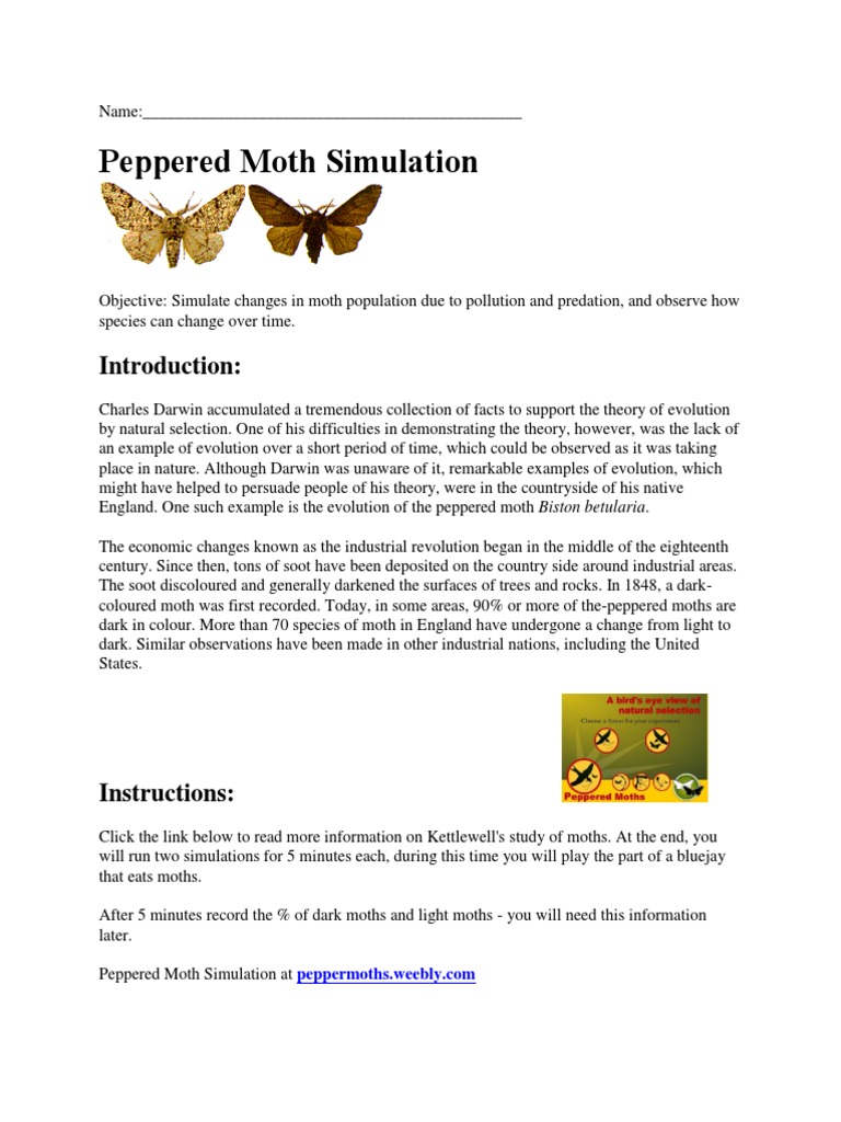Peppered Moth Simulation | PDF | Evolutionary Biology | Biological Evolution