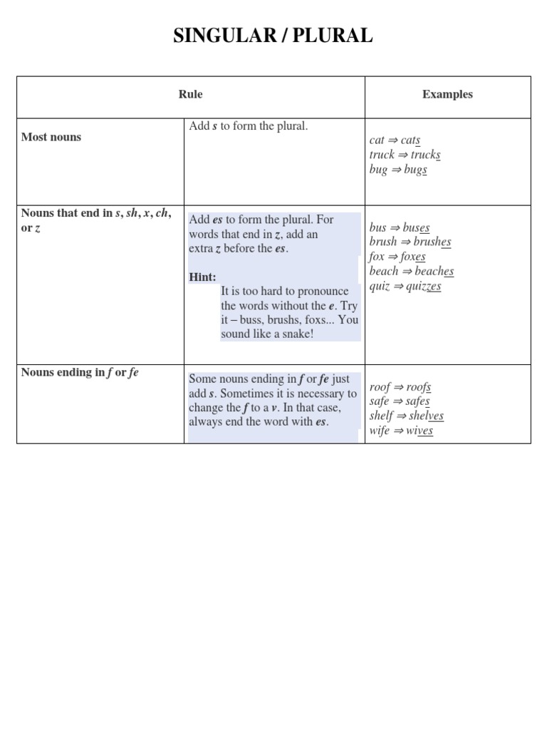 Singular and Plural Rules Explained | PDF | Language Arts & Discipline