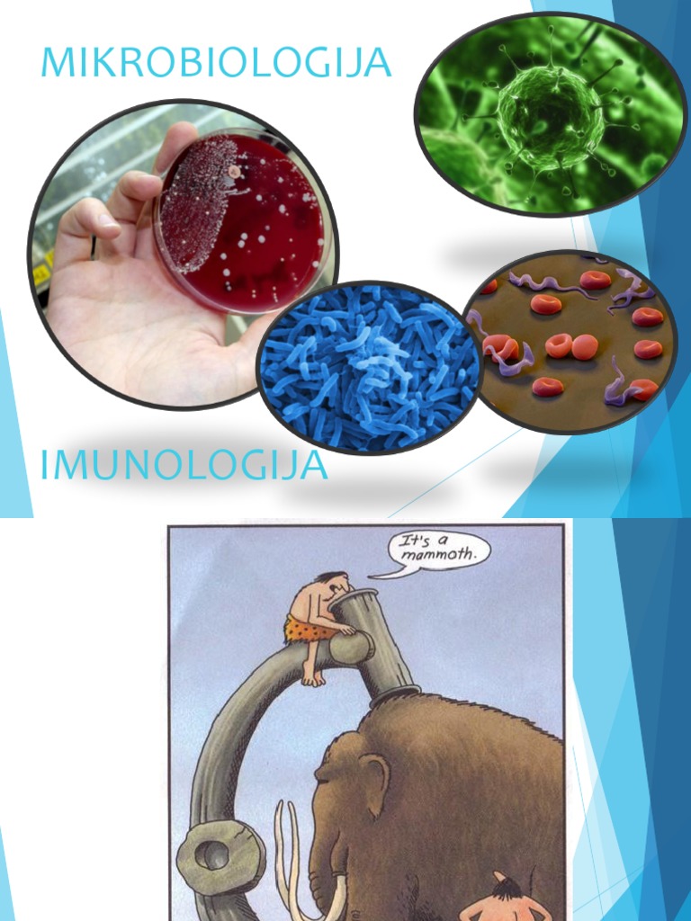 Gradja Bakterija | PDF