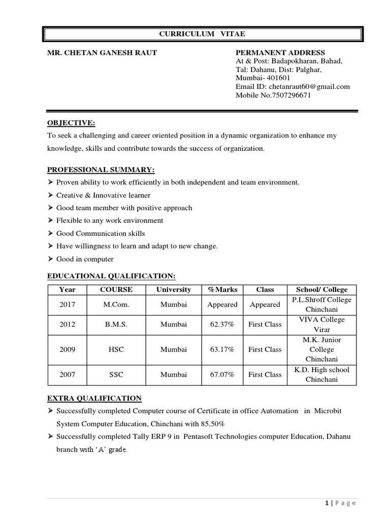 Chetan Raut CV | PDF | Receipt | Business