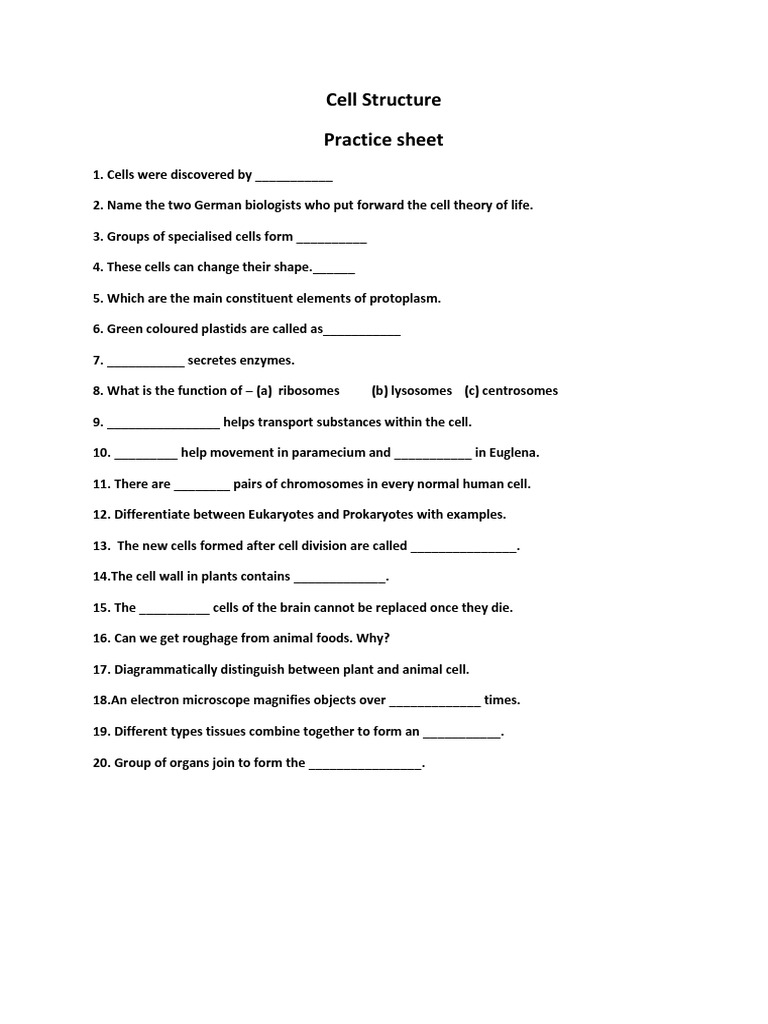 Cell Structure Practice Sheet | PDF