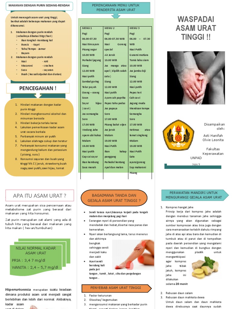 Leaflet Asam Urat