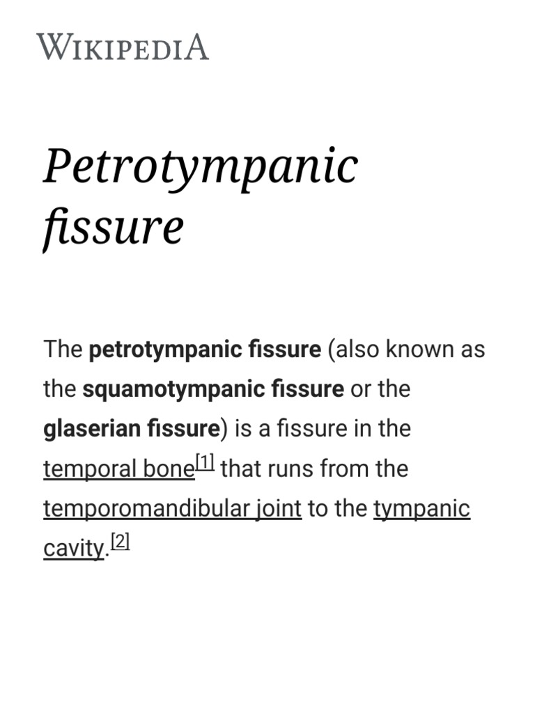 Petrotympanic Fissure | PDF | Human Head And Neck | Skeletal System