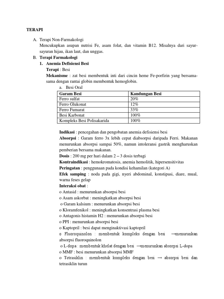 TERAPI Anemia | PDF