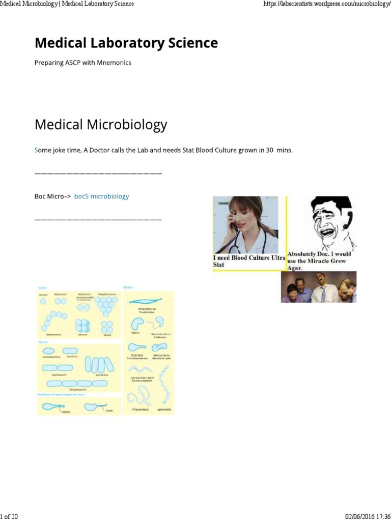 Medical Microbiology - Medical Laboratory Science | PDF | Life Sciences ...