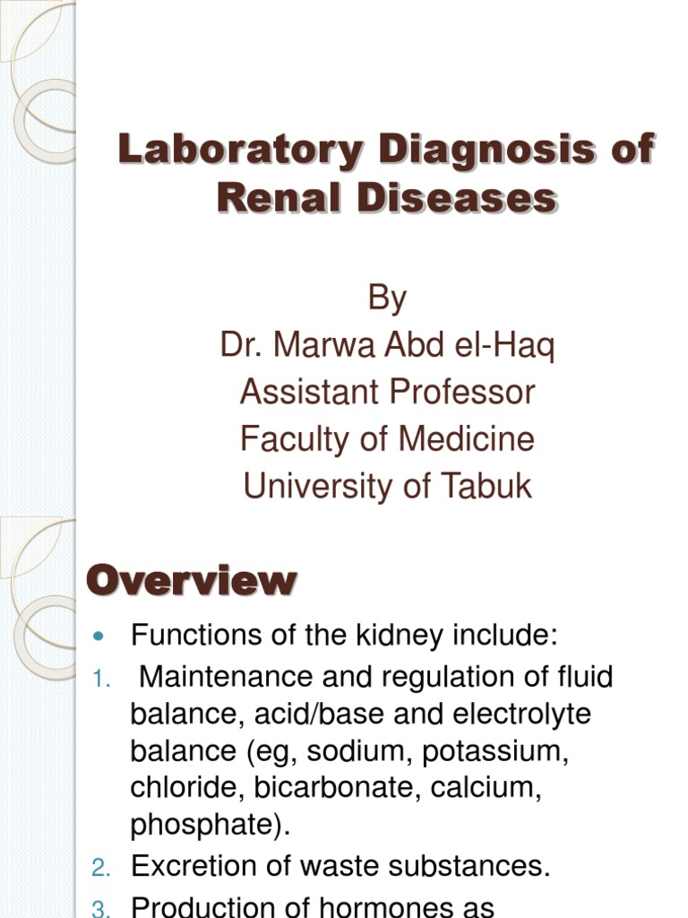 Renal Disease Diagnosis and Testing Guide | PDF | Renal Function ...