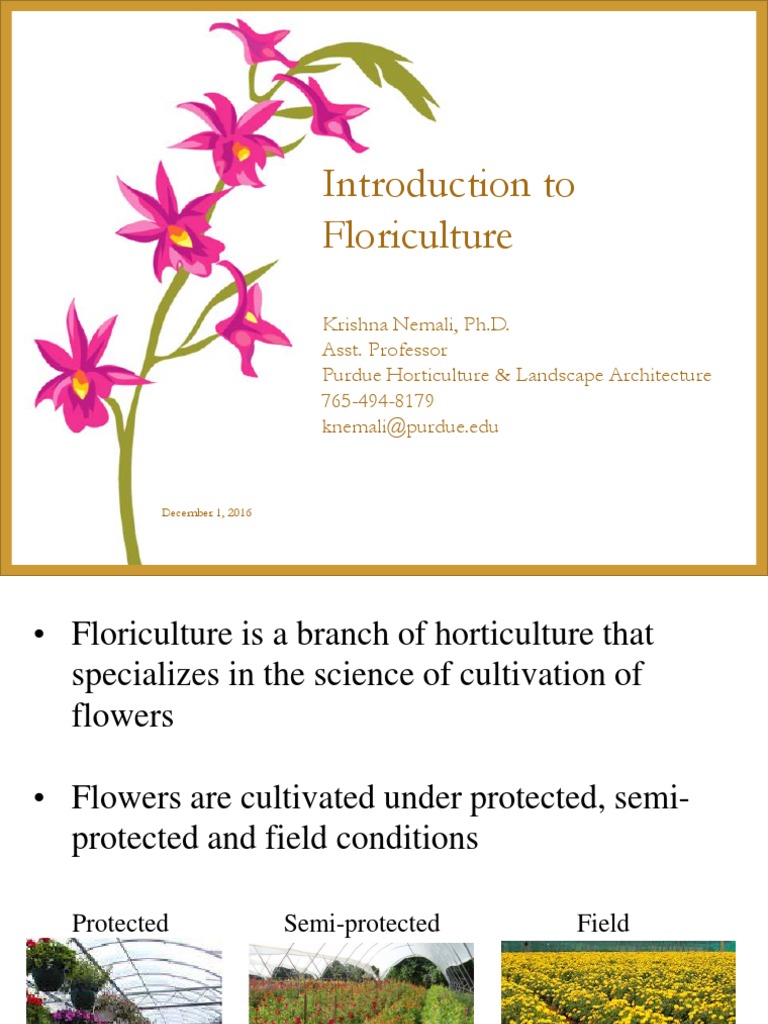Introduction To Floriculture | PDF | Flowers | Aquaponics