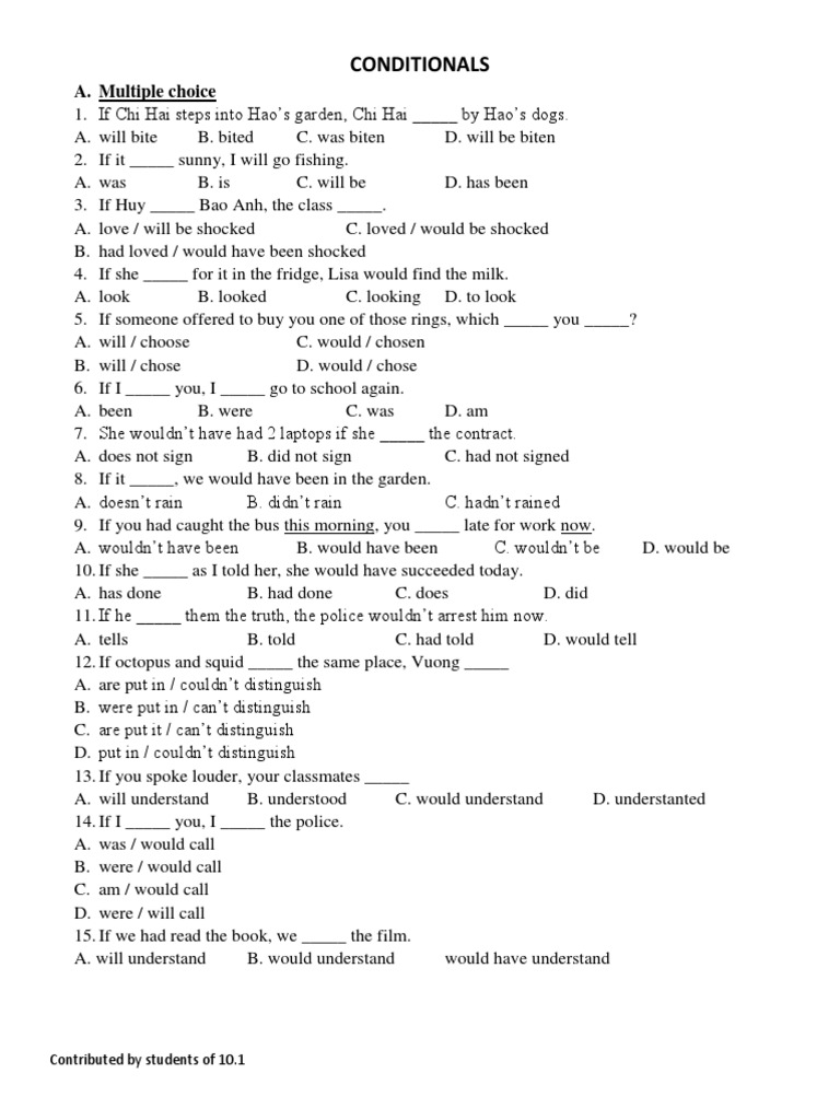 Conditionals: A. Multiple Choice | PDF | Leisure