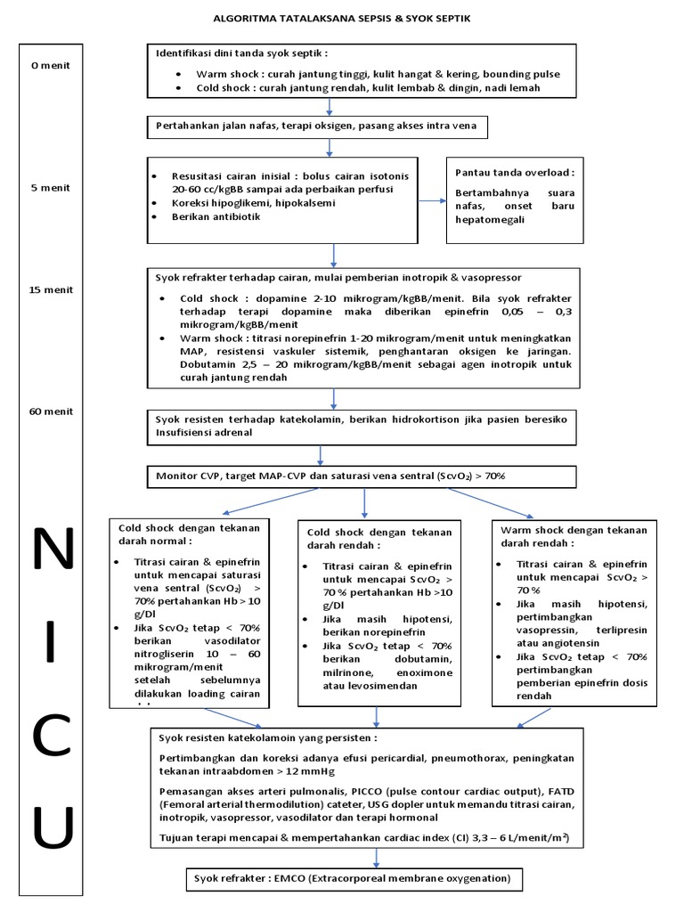 Algoritma Tatalaksana Syok Sepsis | PDF