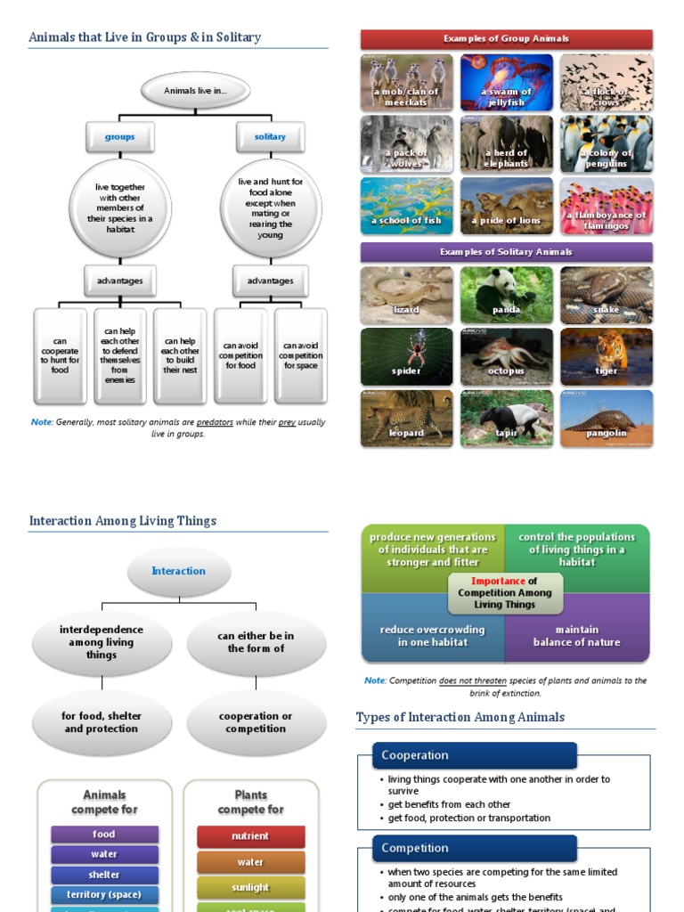 Science Notes Year 6 - Unit 1 Interaction Among Living Things PDF | PDF ...