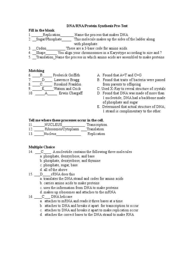 Pre Test Answers | PDF | Dna | Messenger Rna