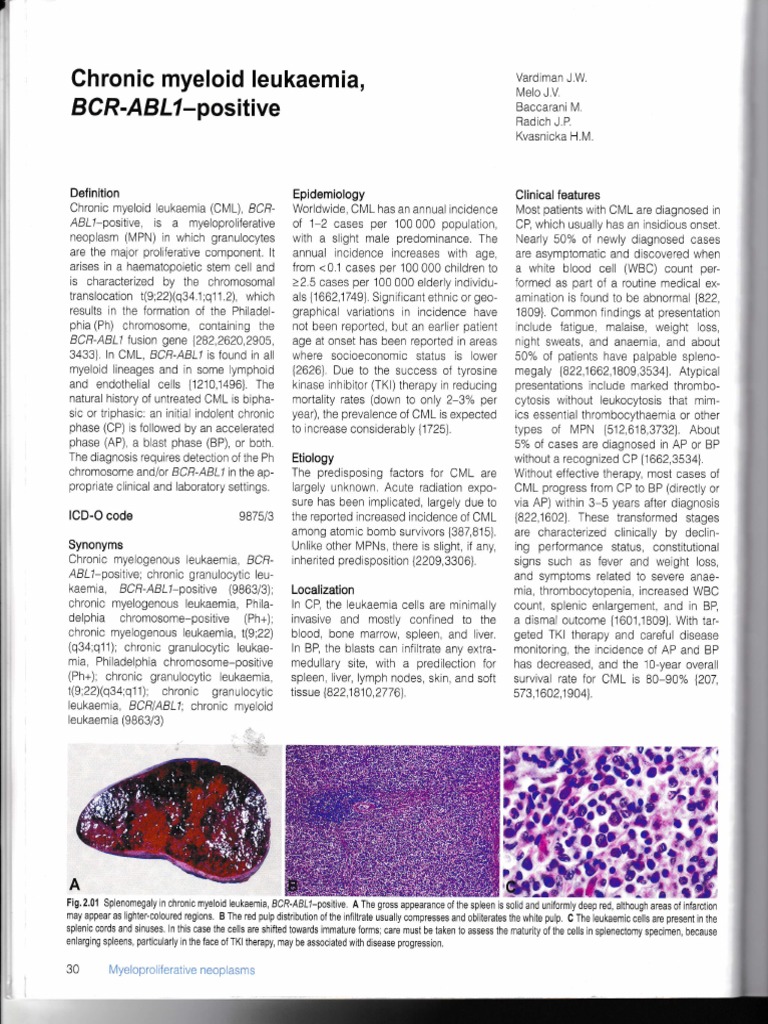 CML 1 | PDF