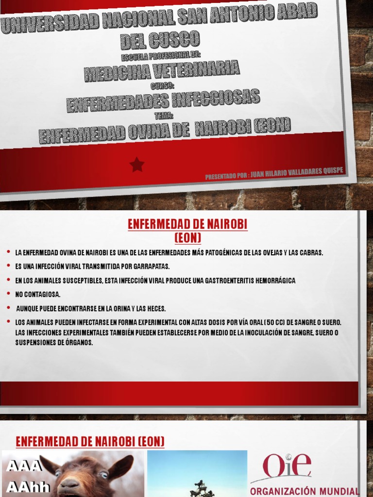 Enfermedad De Nairobi En Ovinos Y Caprinos Pdf
