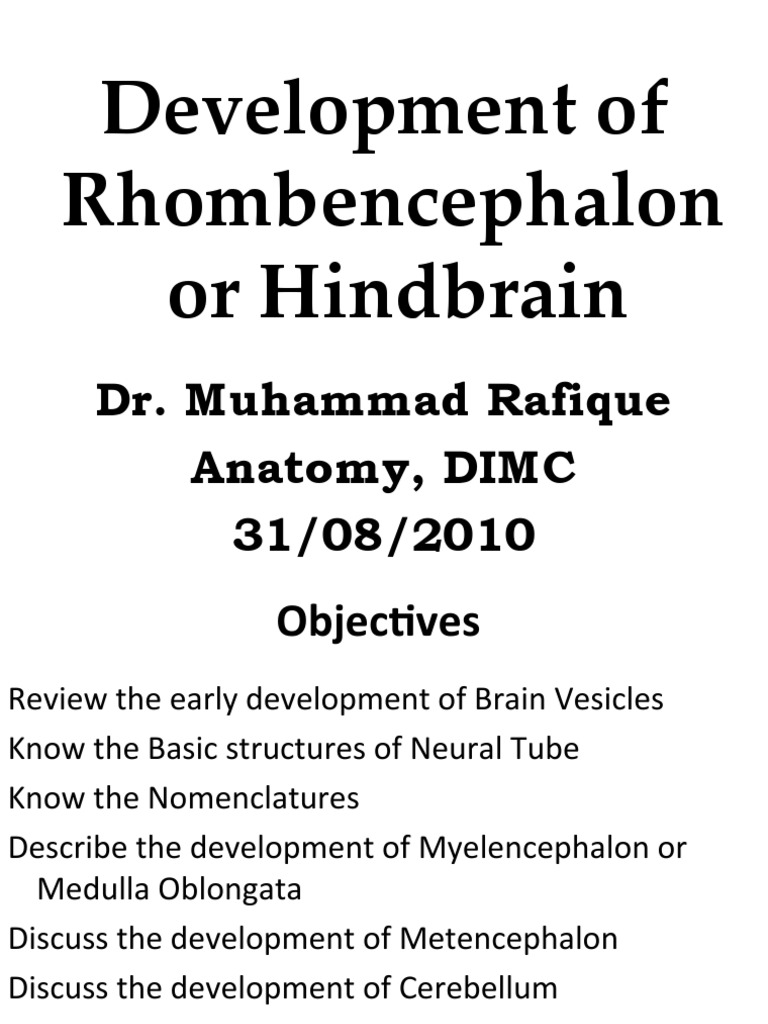 Development of Rhombencephalon and Mesencephalon | PDF | Brain | Spinal ...