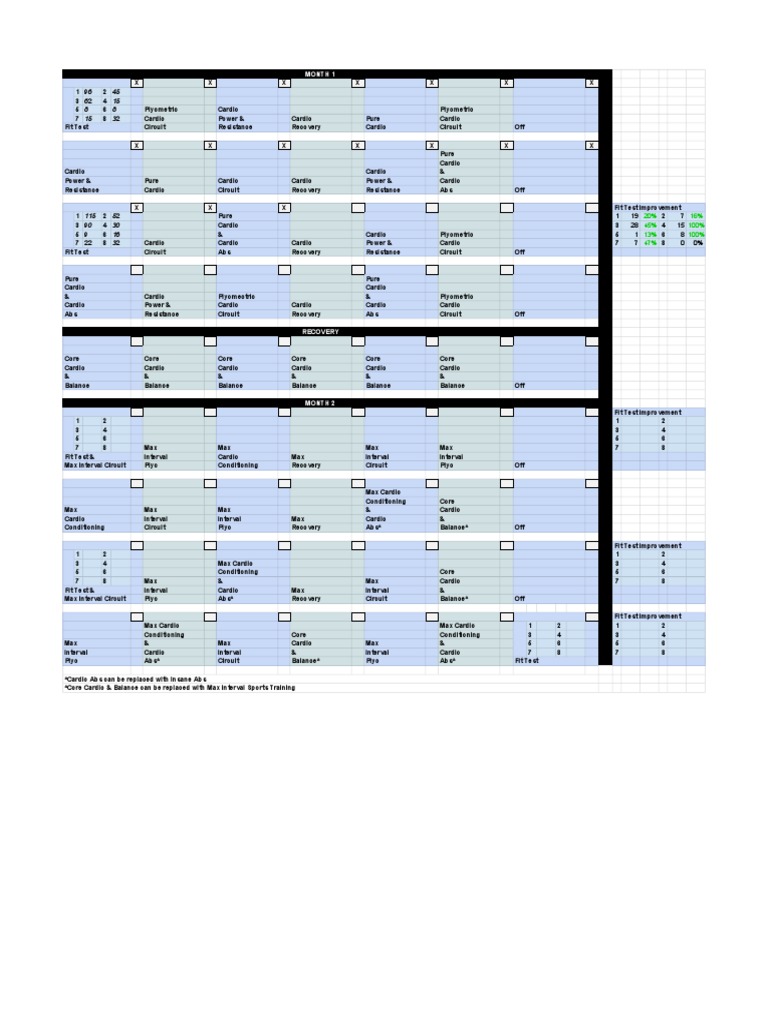 Insanity Worksheet | PDF | Physical Exercise | Management Of Obesity