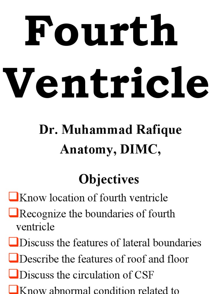 Gross Anatomy of Fourth Ventricle | PDF | Organ (Anatomy) | Neuroscience