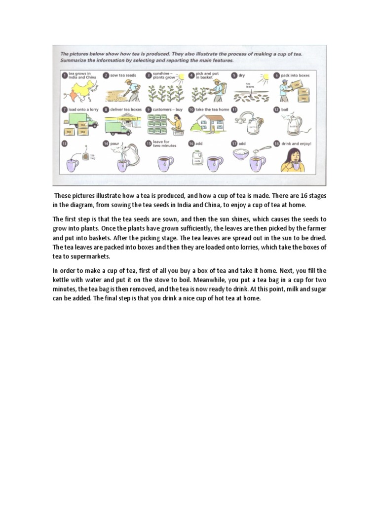 Task1 Maps and Process | PDF | Bees | Nature