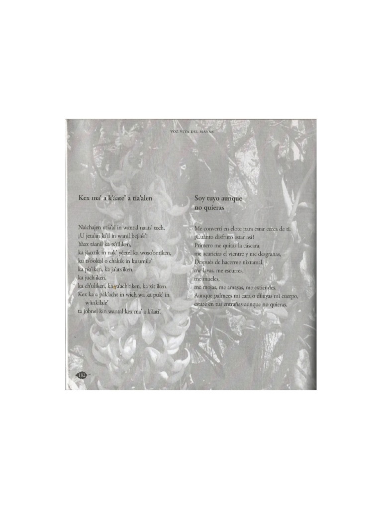 Isaac Carrillo Can Soy Tuyo (Poema) | PDF