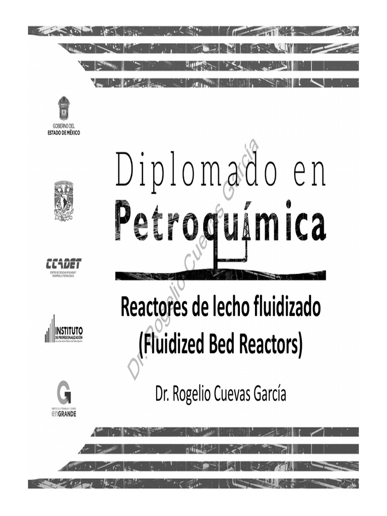 Reactores de Lecho Fluidizado PDF | PDF | Reactor Quimico | Cinética química