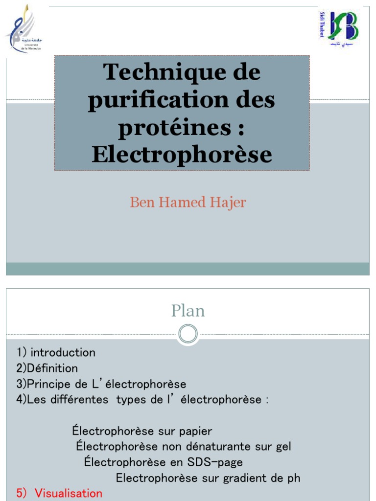 Purification Des Protéines | PDF | Électrophorèse | Substances chimiques
