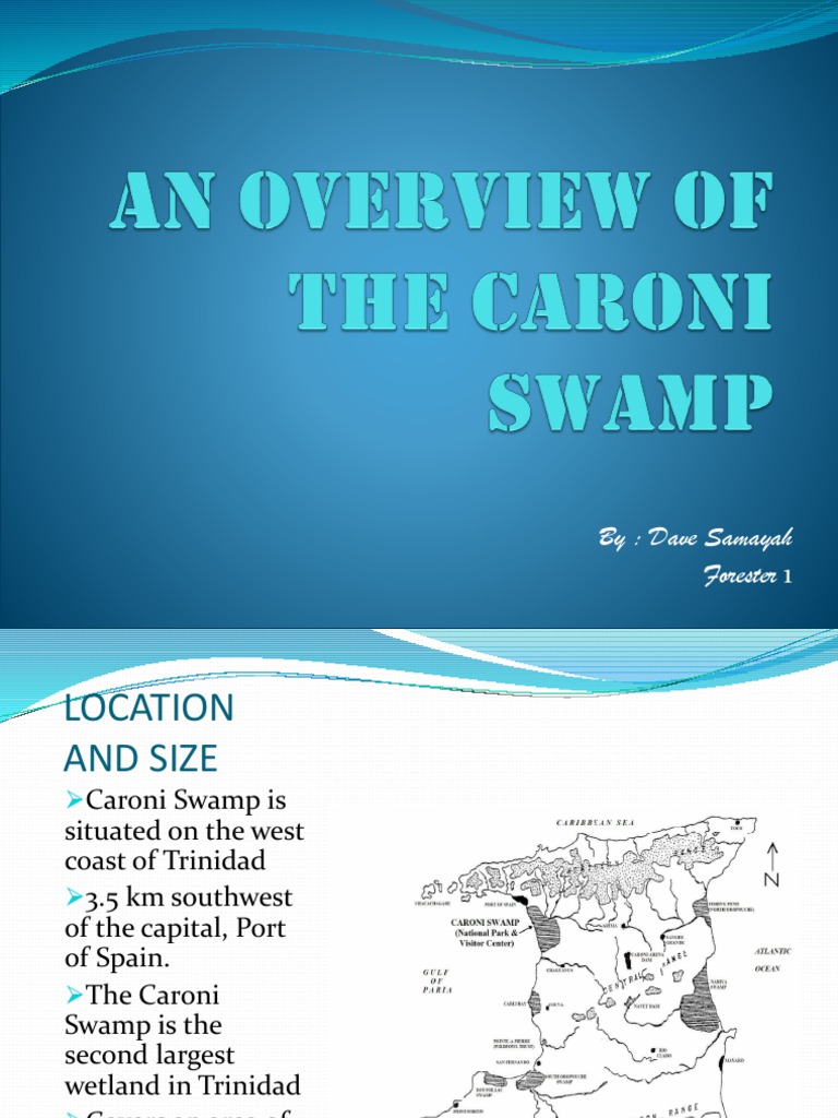 An Overview of the Caroni Swamp | Ecology | Habitat