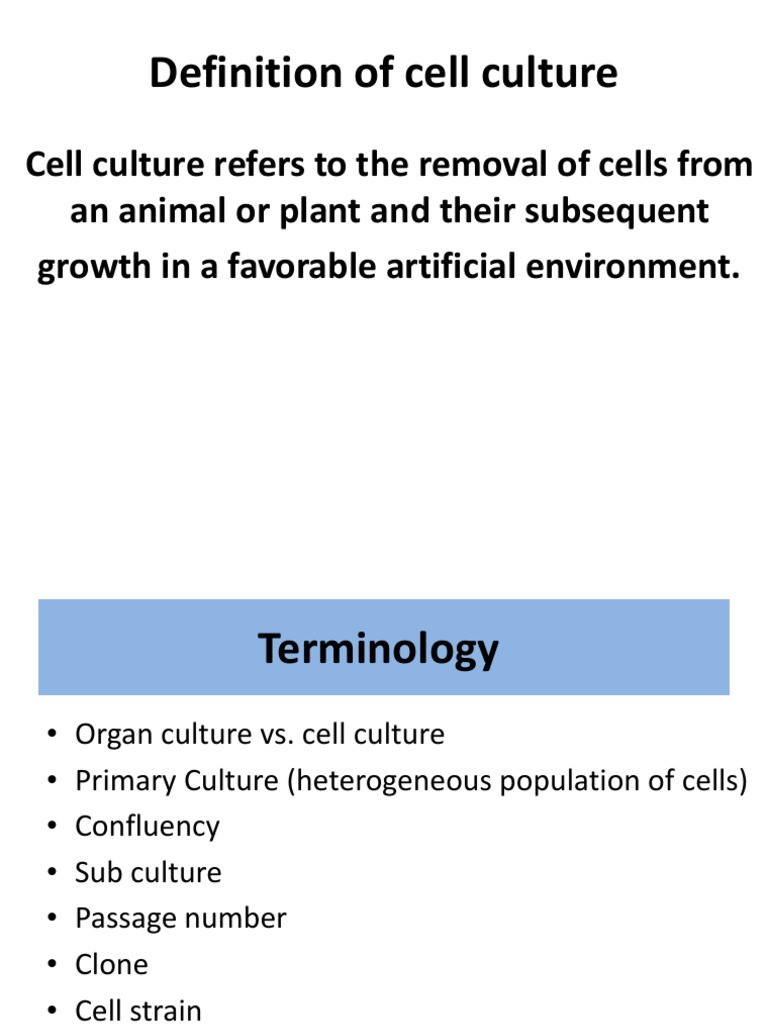 Understanding Cell Culture Definitions | PDF | Stem Cell | Cell Potency