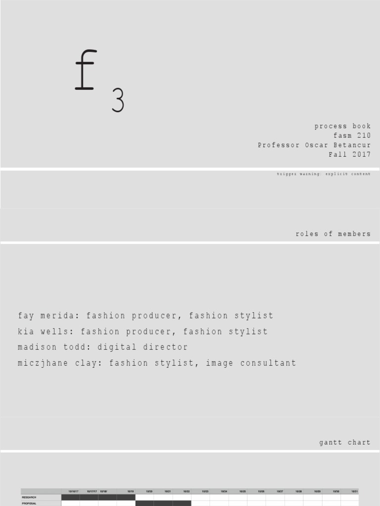F3 Process Book Pdf Consumer Goods Cultural Trends