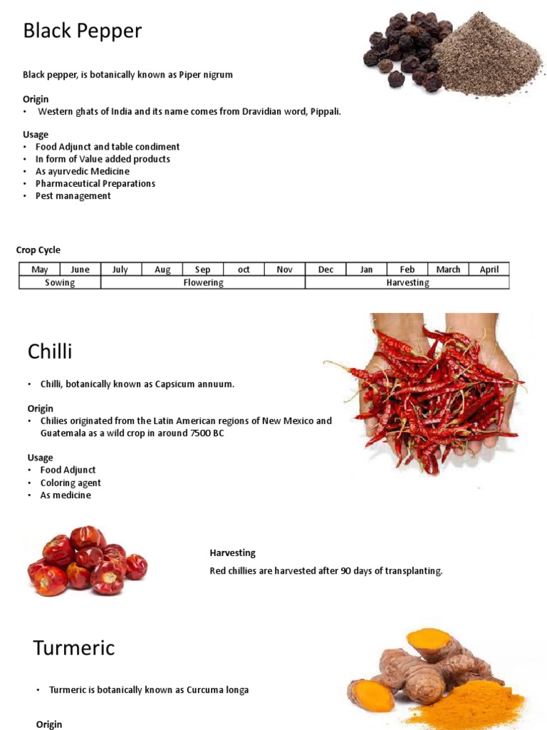 Spices | PDF