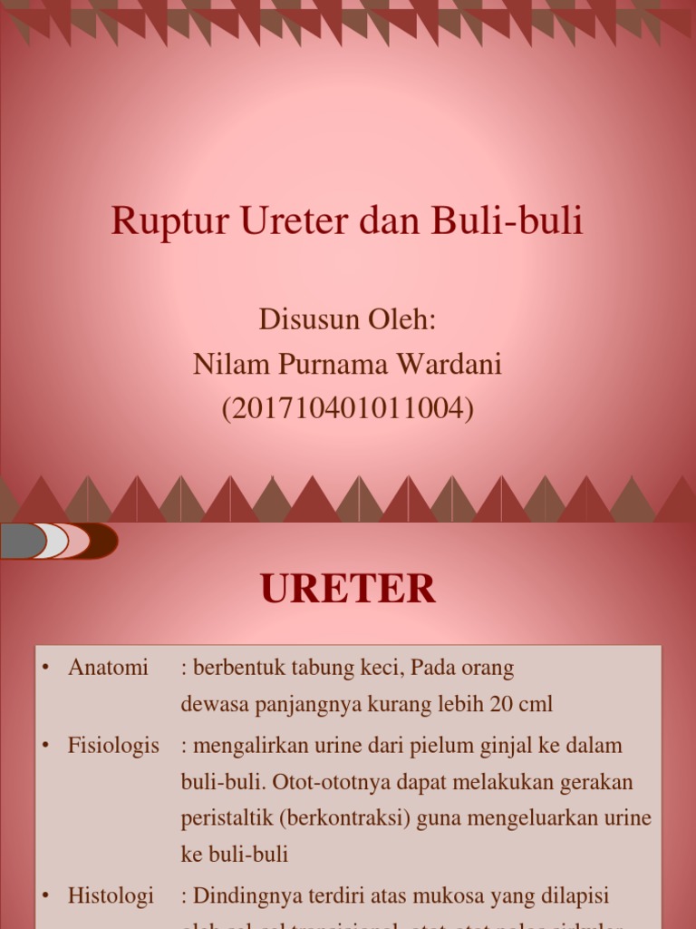 Ruptur Ureter Dan Buli Buli | PDF