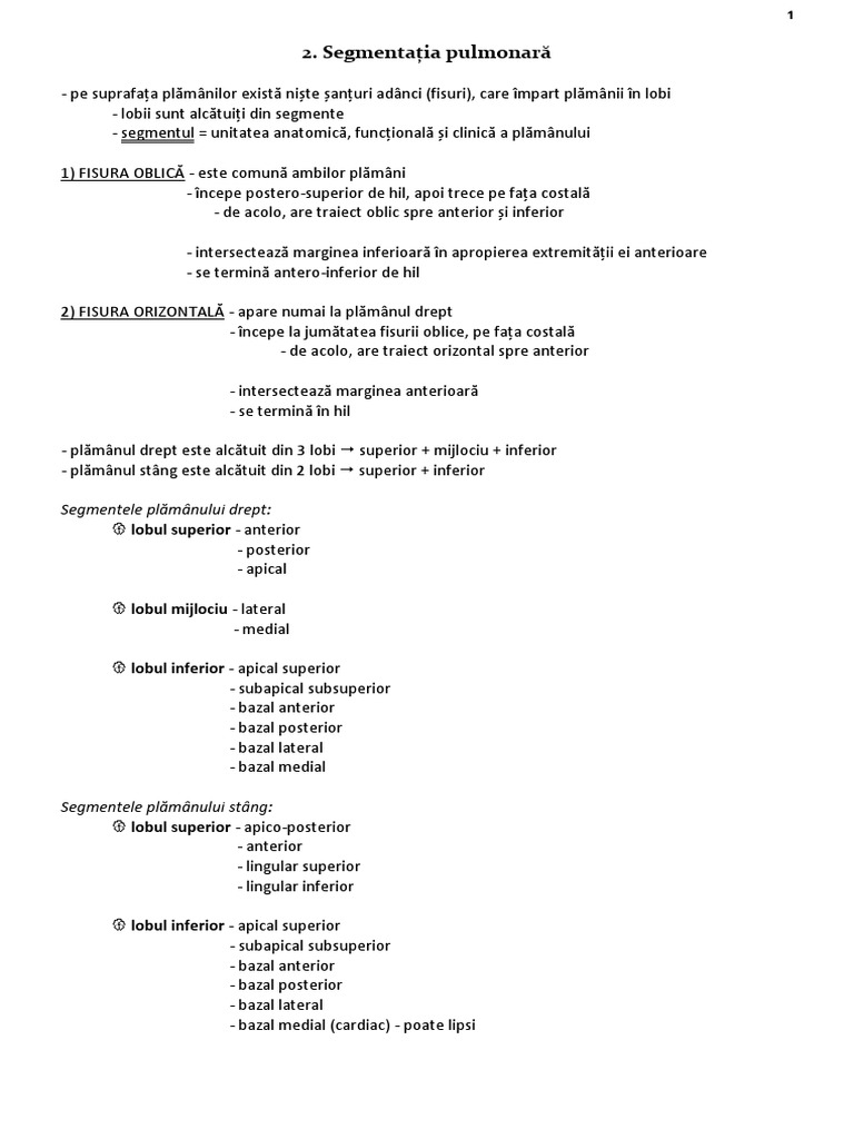 Segmentatia Pulmonara | PDF