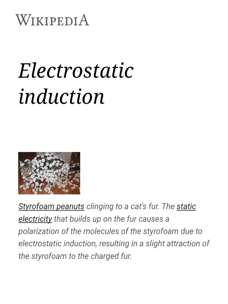 Electrostatic Induction | PDF | Electric Charge | Electrostatics