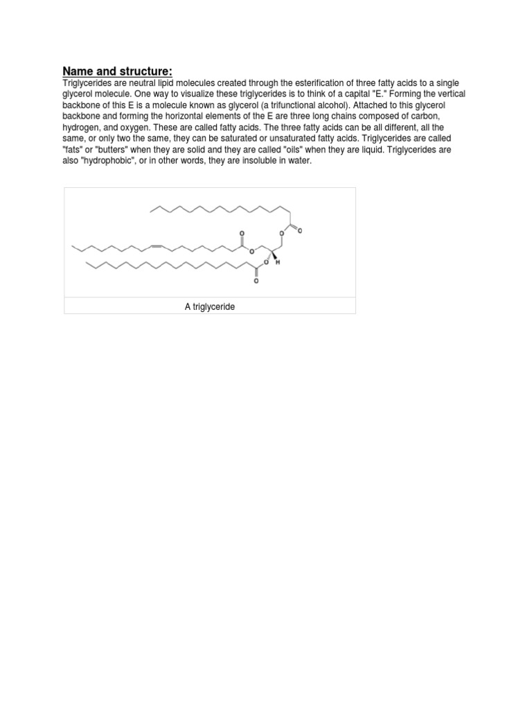 Chem Report | PDF | Triglyceride | Fat