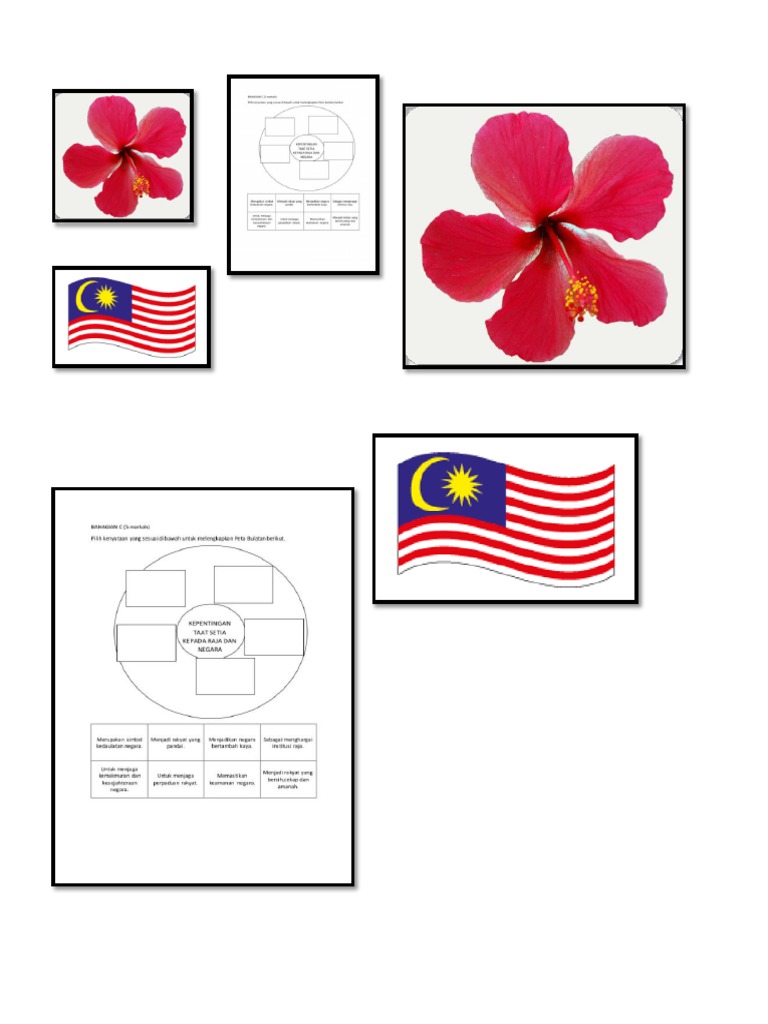 Abm Bunga Raya | PDF